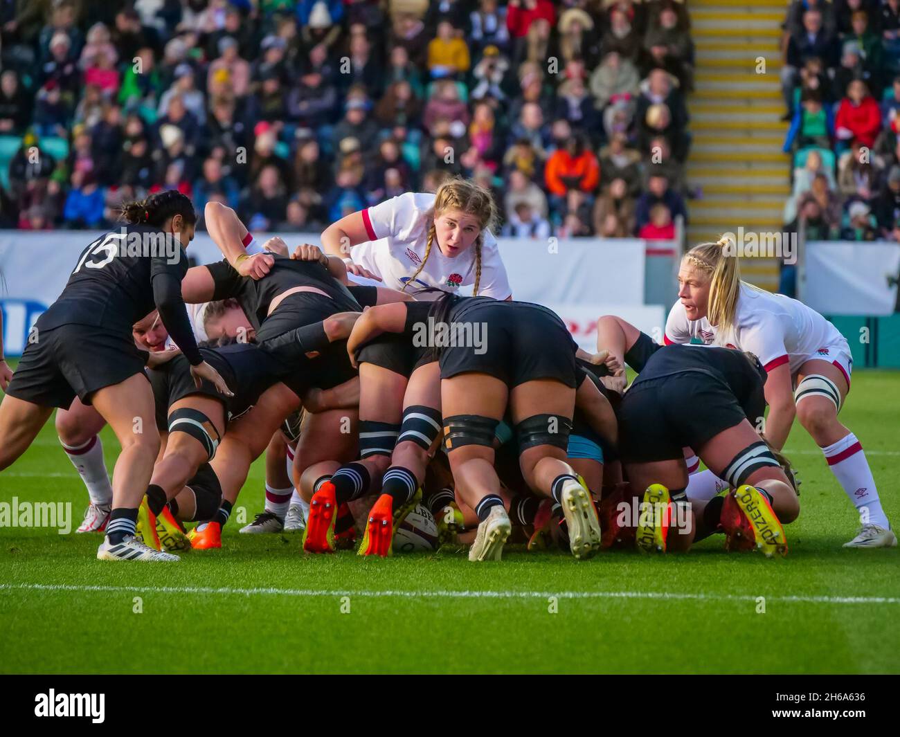 Red roses rugby black ferns hi-res stock photography and images - Alamy