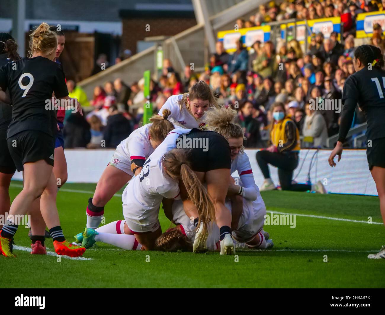 Red roses rugby black ferns hi-res stock photography and images - Alamy