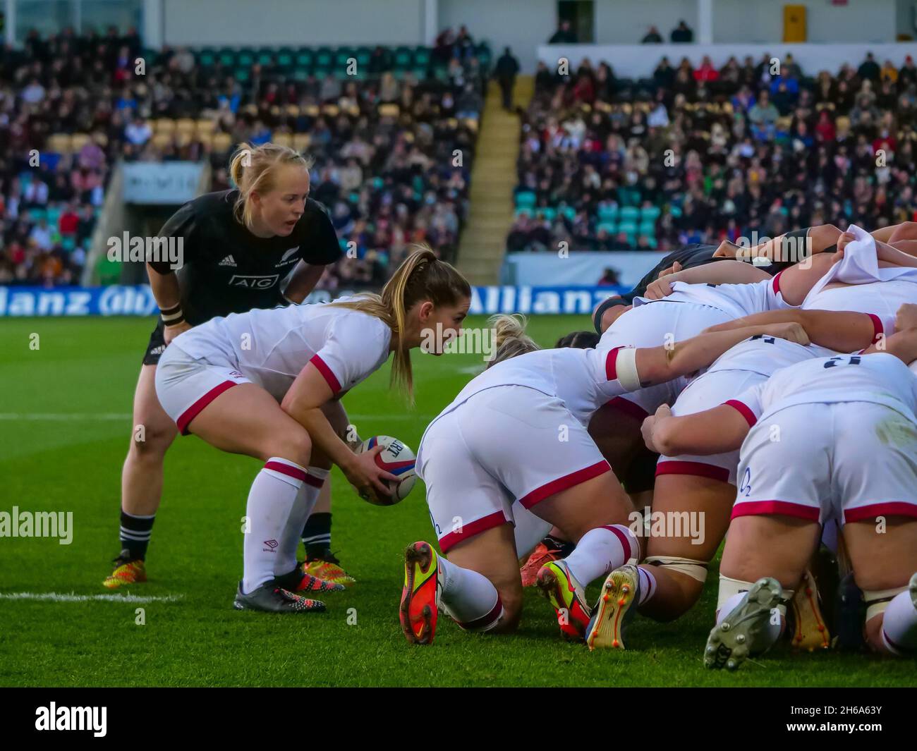 Red roses rugby black ferns hi-res stock photography and images - Alamy