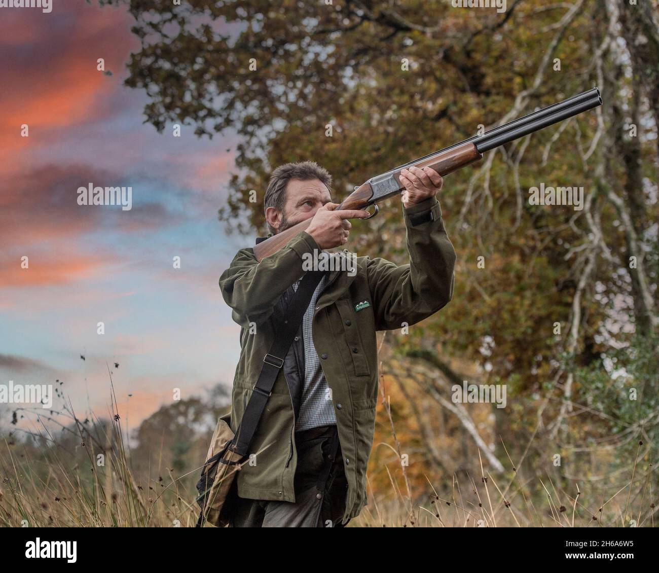 hunter shooting at bird Stock Photo - Alamy