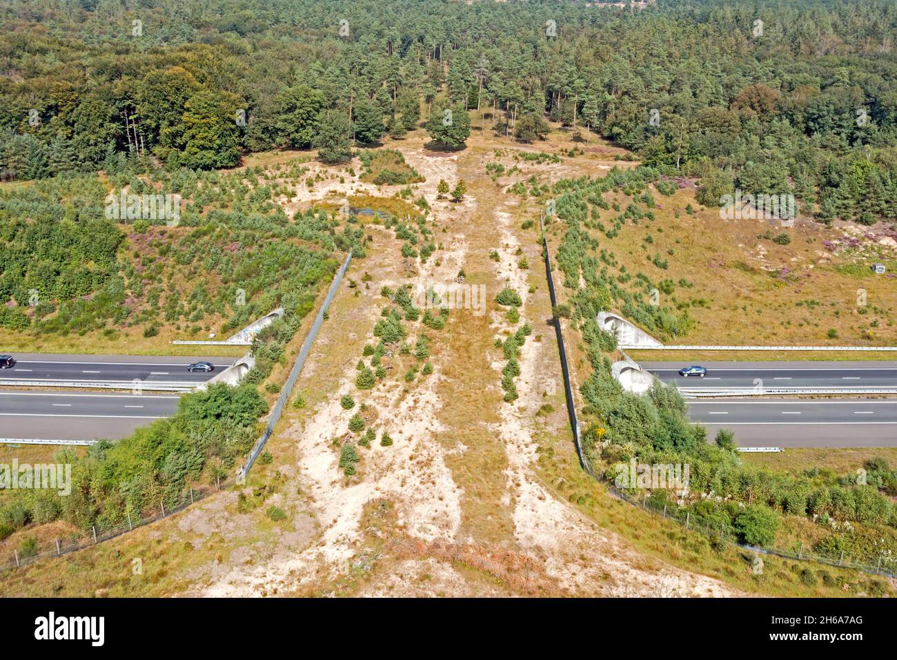 Aerial from ecoduct Hoog Buurlo on the highway A1 in the Netherlands ...