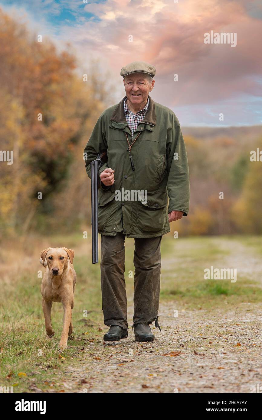 gamekeeper with his labrador and a shotgun walking towards camera Stock ...