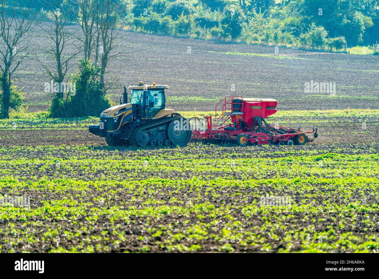 Telephoto shot of a Cat Challenger MT 765C Tractor towing a red ...
