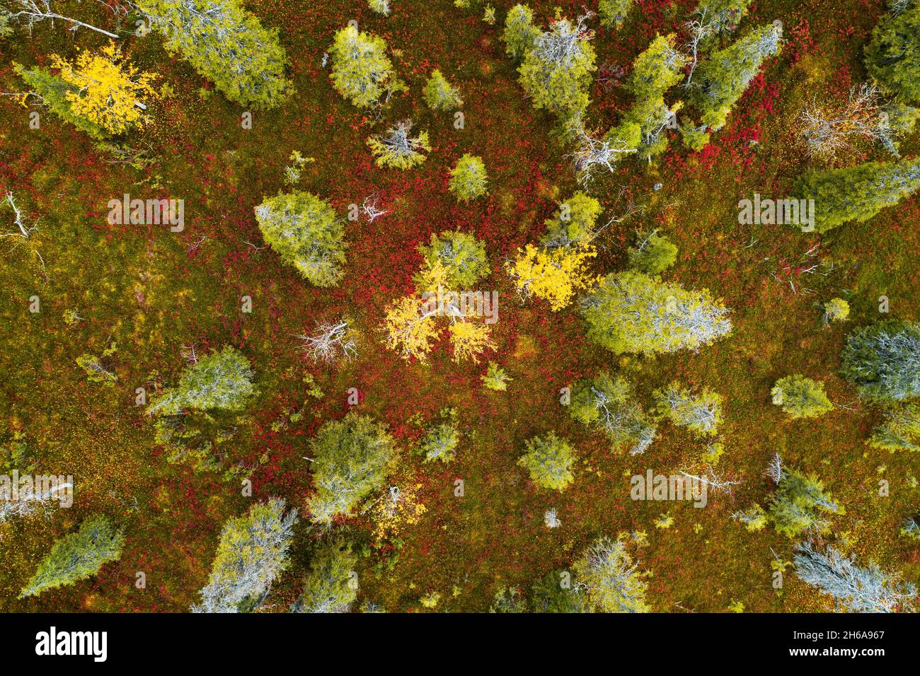 The park is bright hi-res stock photography and images - Alamy