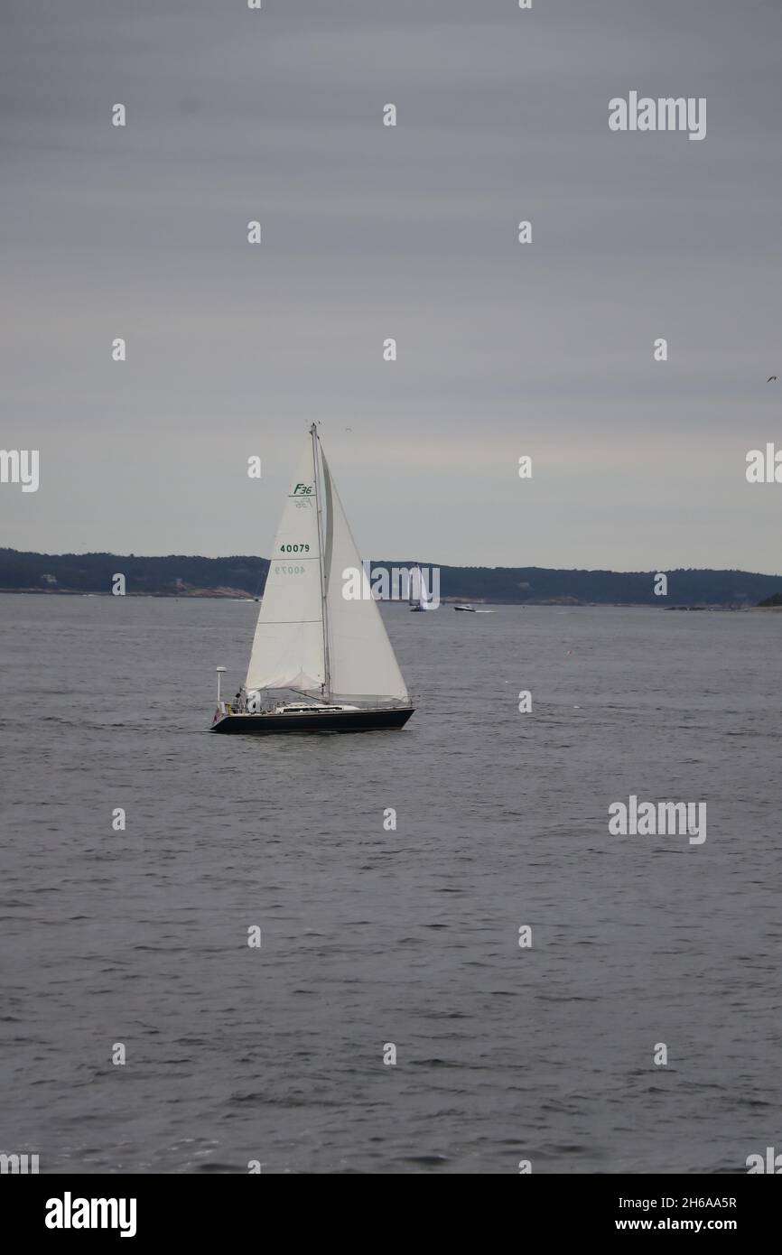 sailboat with sails full open on a gray cloudy day in harbor Stock ...