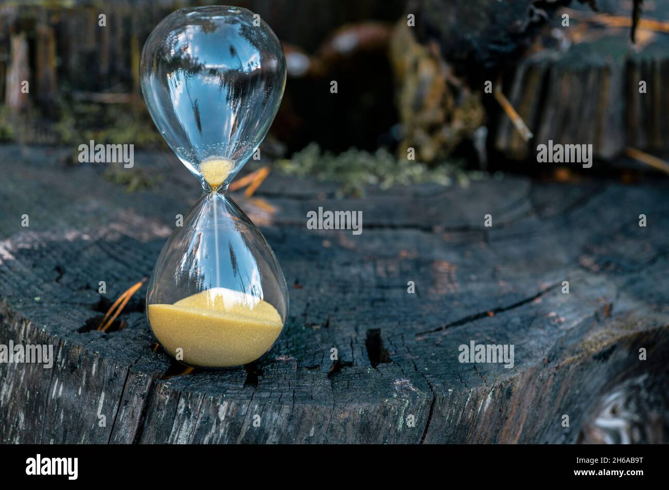 Sand watch on old tree stump background Stock Photo - Alamy