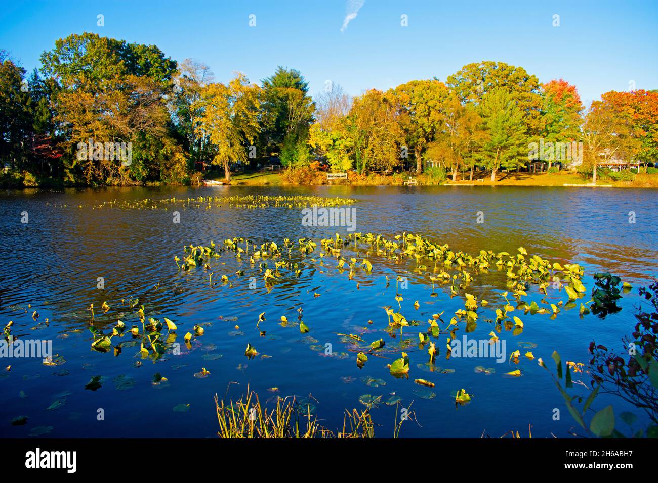 Lake with colorful fall foliage reflections at Thompson Park, Monroe ...