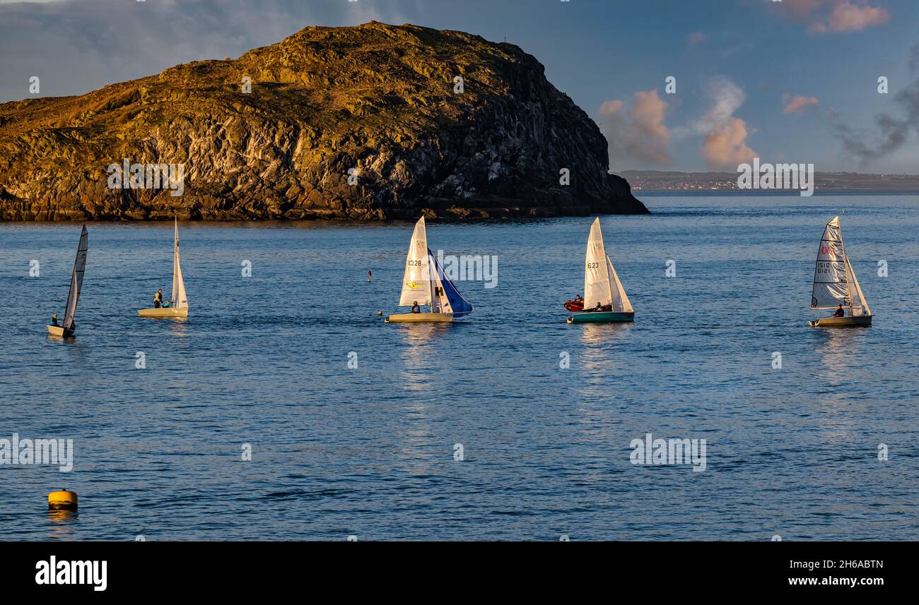 Sailing dinghies in the Firth of Forth by Craigleith Island in sunshine ...