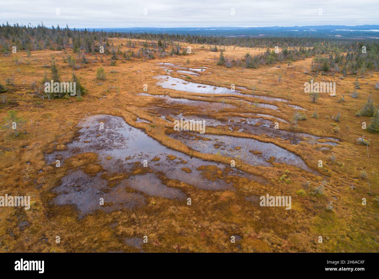 An aerial of famous slope bogs in autumnal Riisitunturi National Park ...