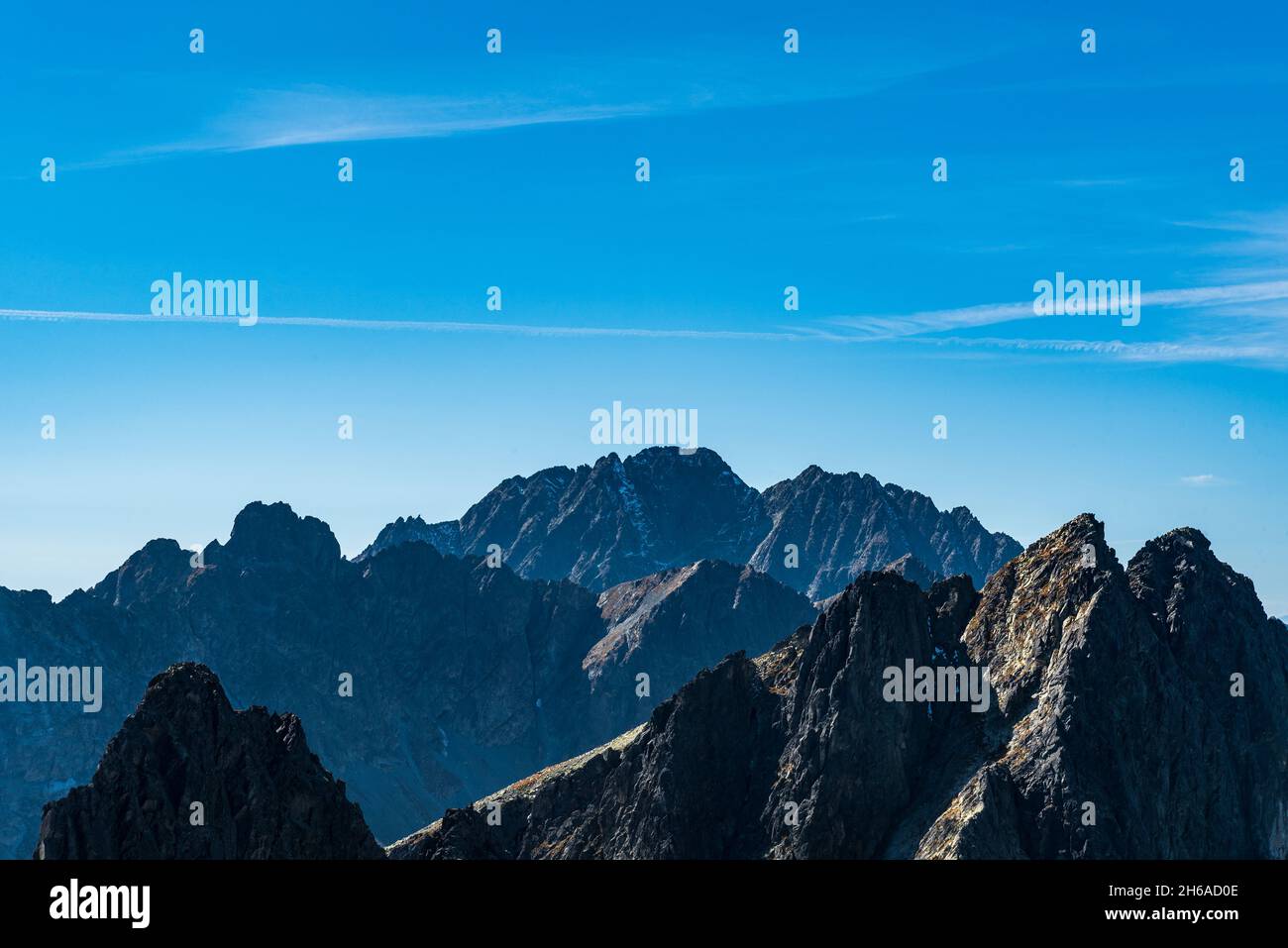 Bradavica hi-res stock photography and images - Alamy