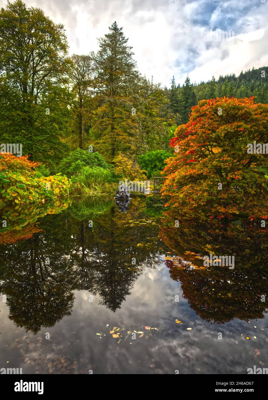 Benmore botanical garden hi-res stock photography and images - Alamy