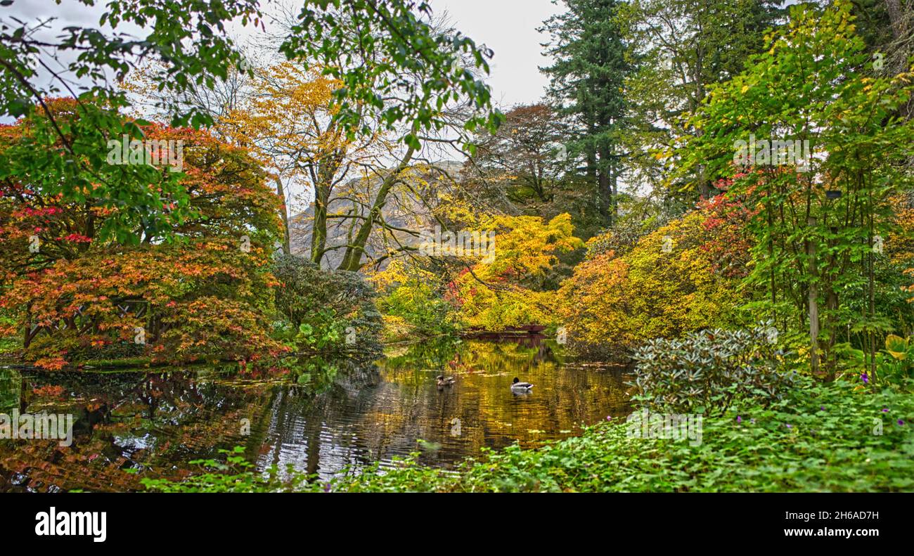 Benmore Botanic Garden Stock Photo - Alamy