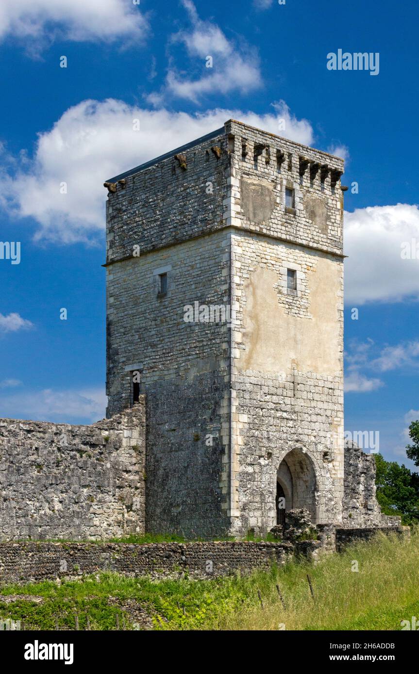 The Chateau de Bellocq, a Bearn fortress from the end of the 13th ...