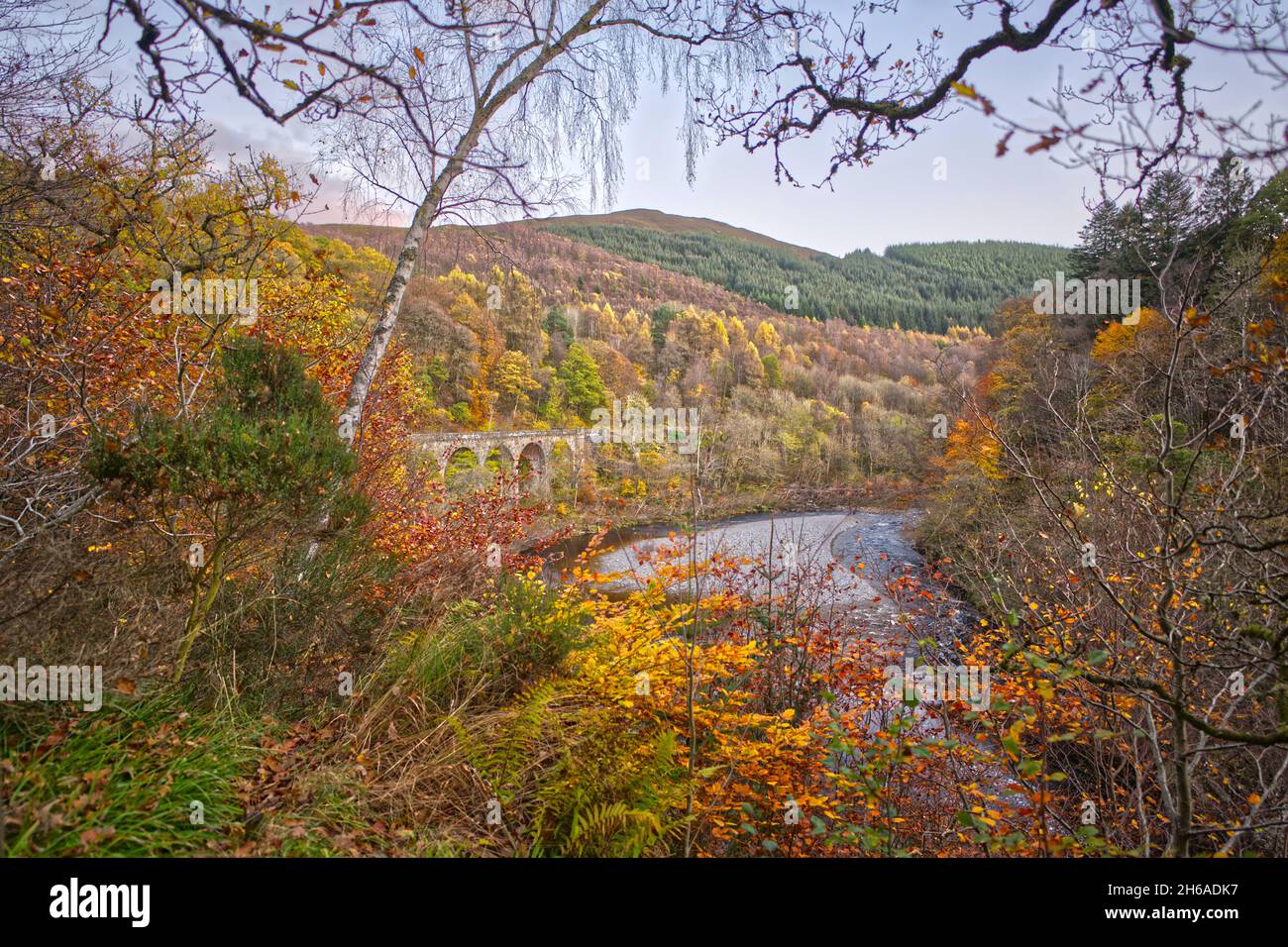 Beautiful autumn scene at killiecrankie hi-res stock photography and ...