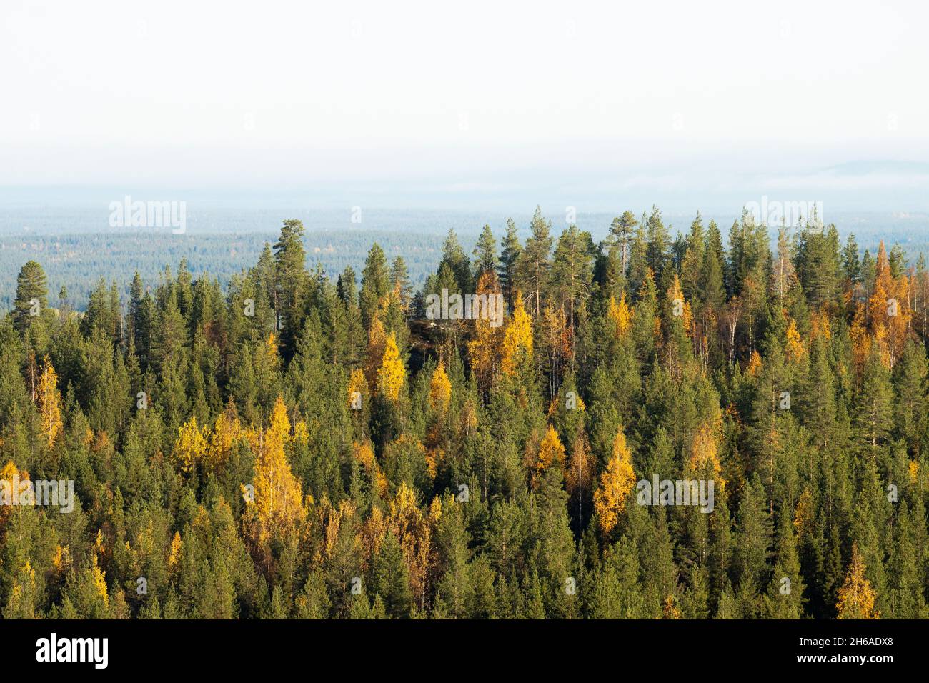 View of autumnal taiga forest with hills and mountains shot from ...