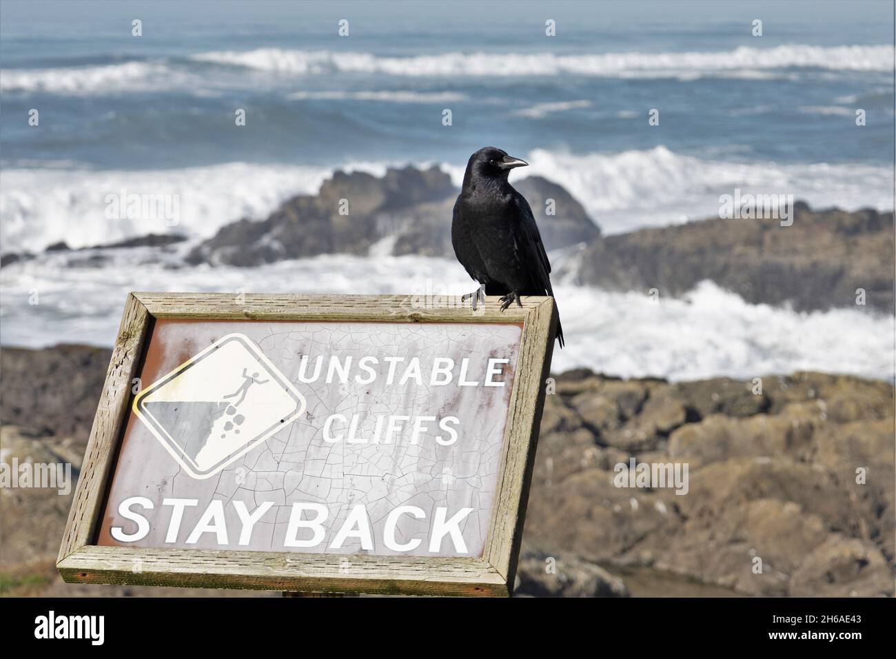 Crow edge sign hi-res stock photography and images - Alamy