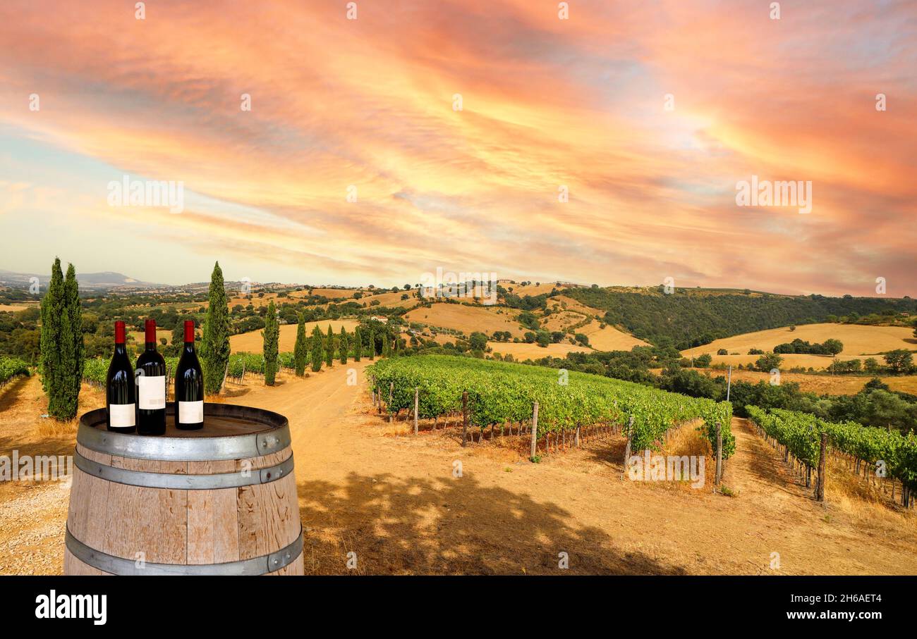 View over vineyards with red wine grapes and typical Tuscan landscape ...