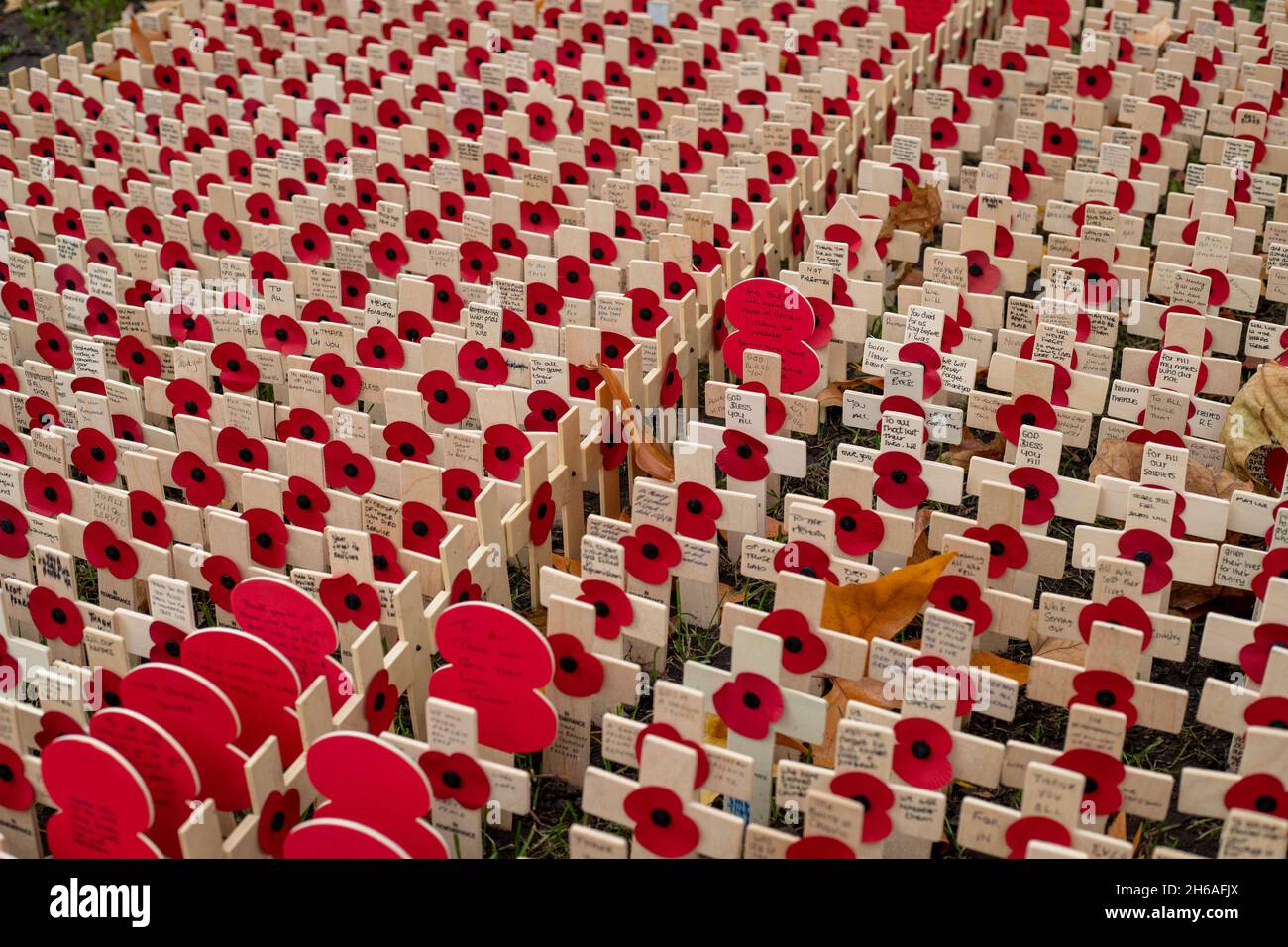 LONDON, UK 14TH NOVEMBER 2021, Poppy crosses at Westminster Abbey's ...