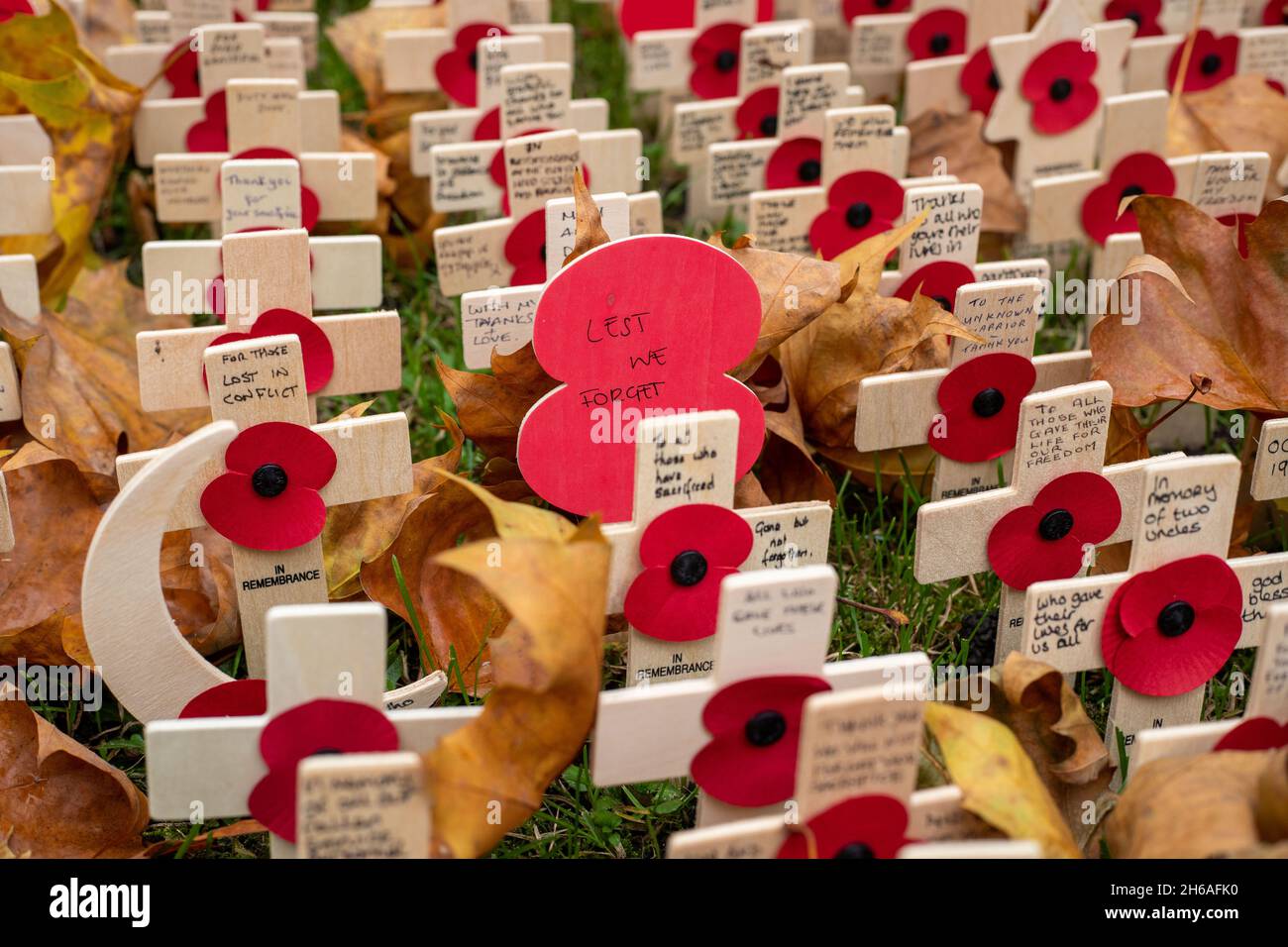 Veterans at the field of remembrance at westminster abbey hi-res stock ...