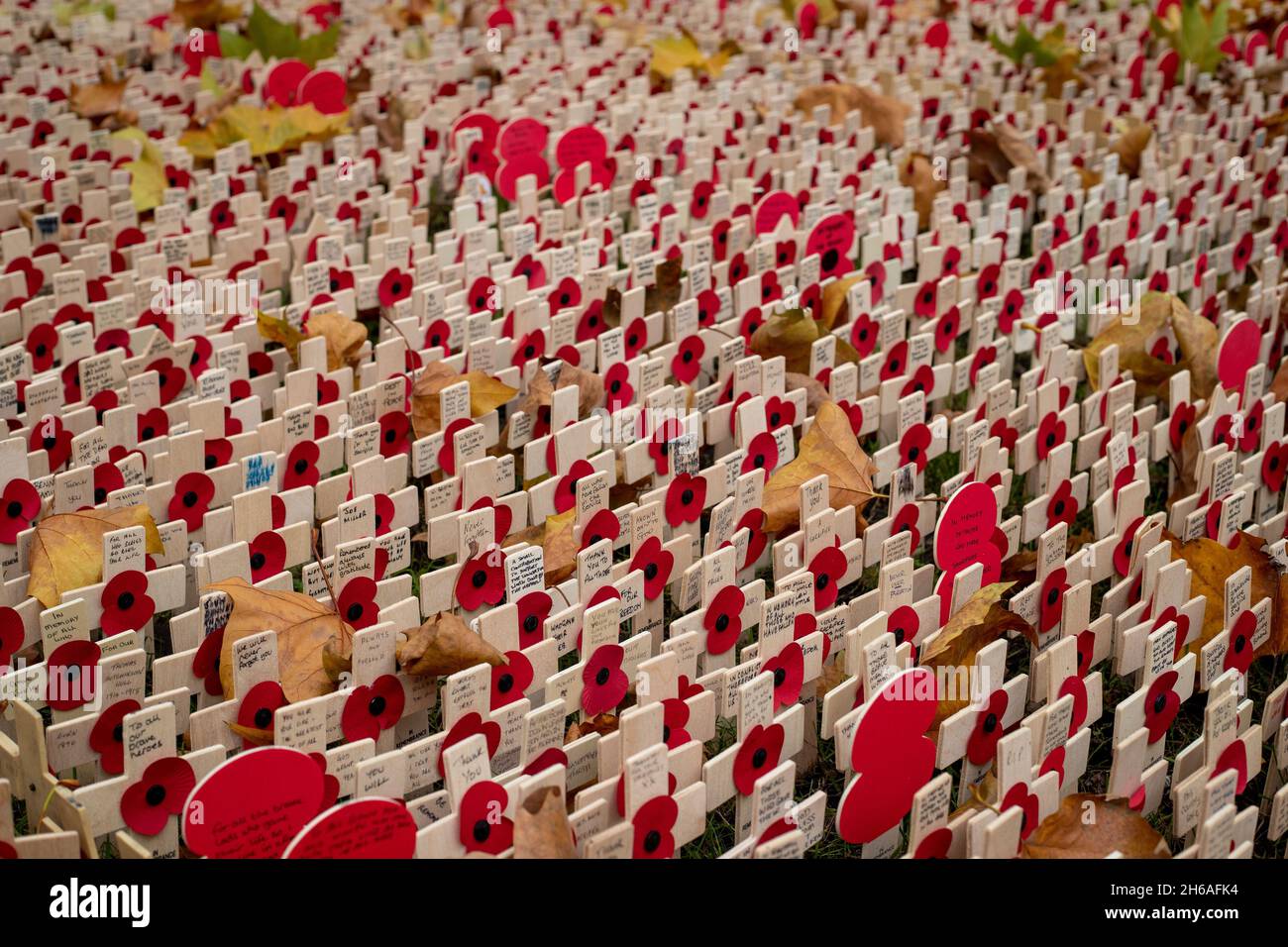 LONDON, UK 14TH NOVEMBER 2021, Poppy crosses at Westminster Abbey's ...