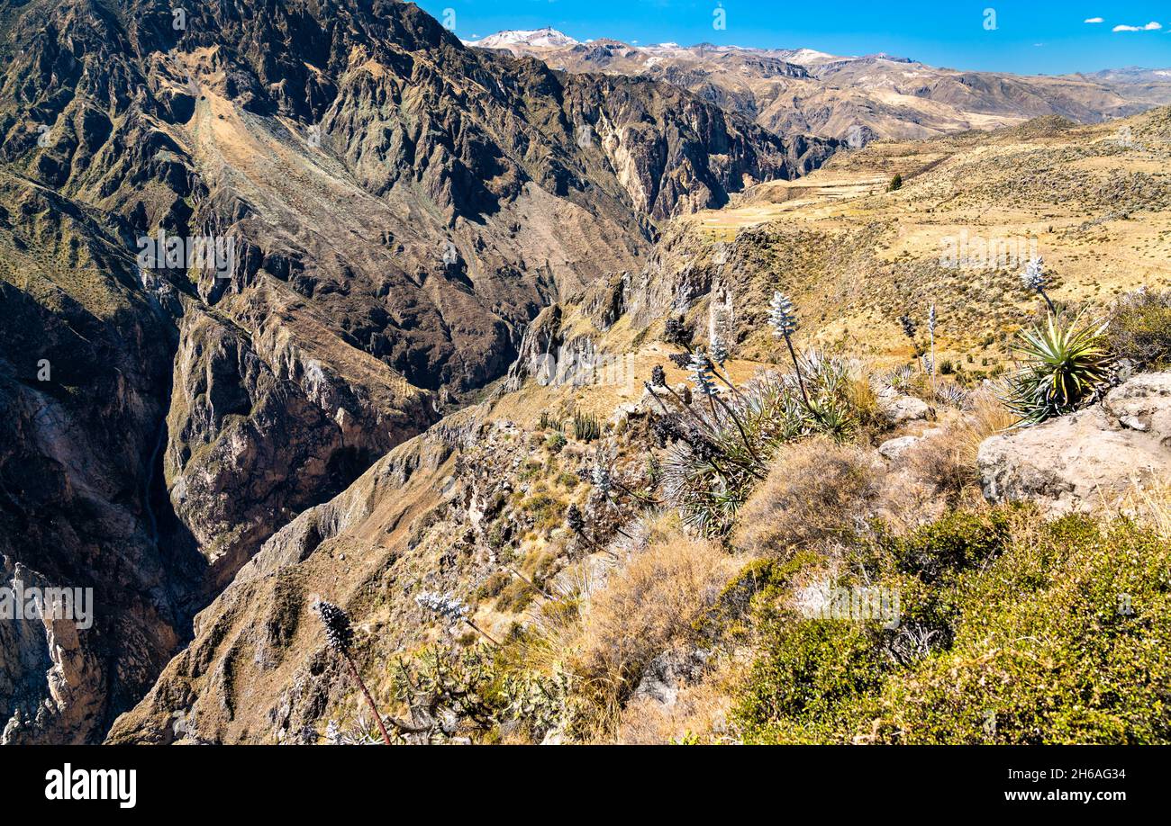 Peru trip hi-res stock photography and images - Alamy