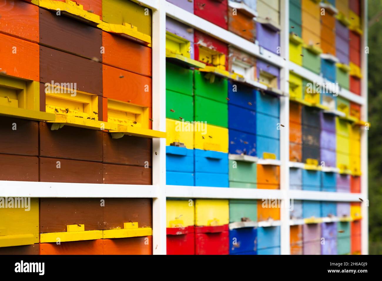 Beehive apiculture slovenia hi-res stock photography and images - Alamy