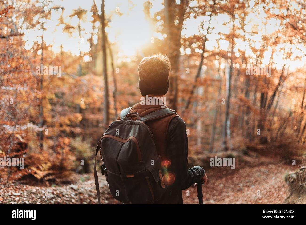 Male backpacker in the woods hi-res stock photography and images - Alamy