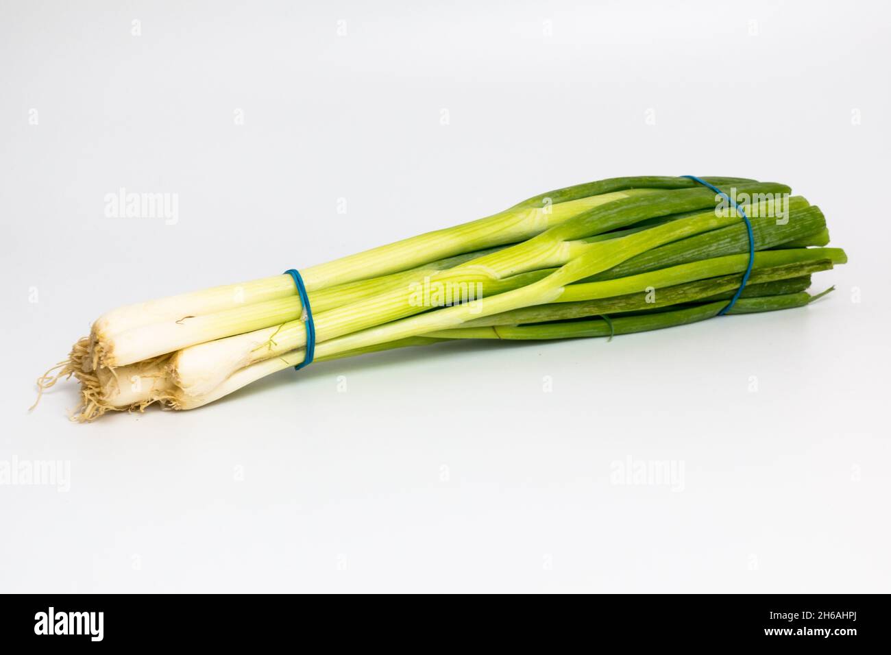 Spring Onion or Young onions or Green Onion or Scallion bunched on ...