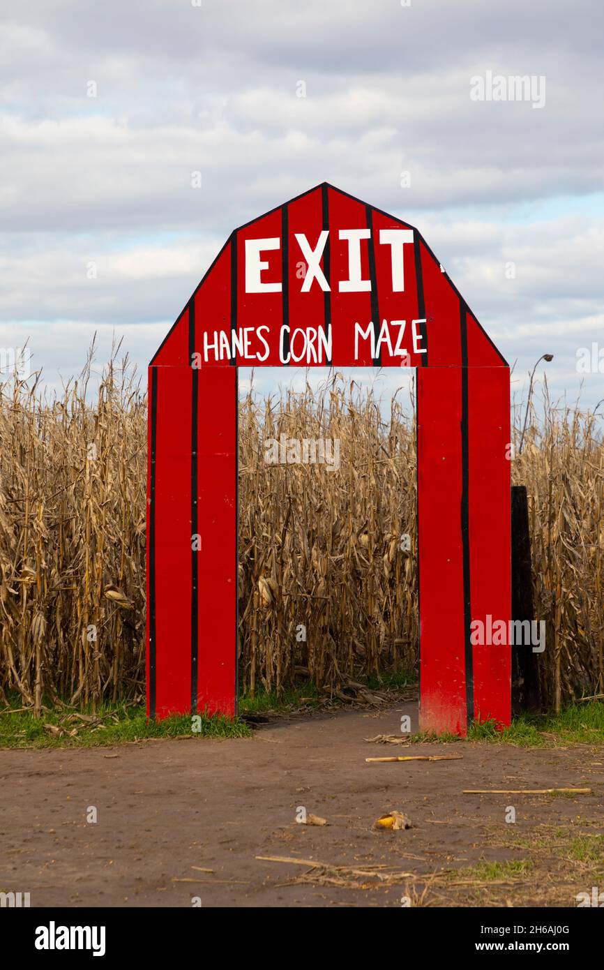Farm corn maze hi-res stock photography and images - Alamy