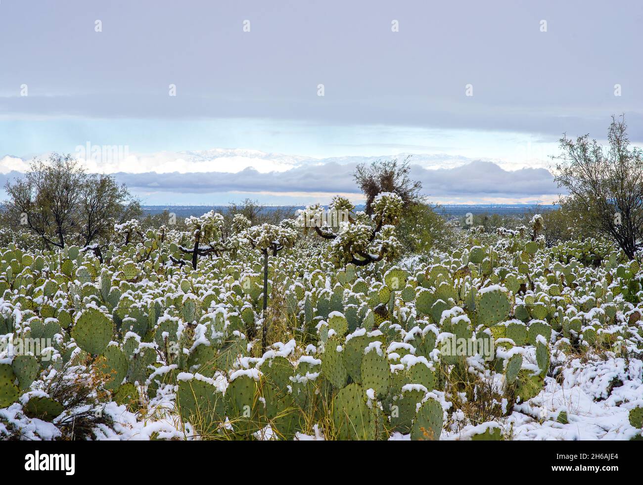 Tucson and the Catalina Mountain mountain range in winter Stock Photo ...