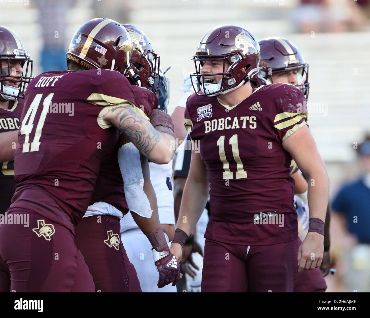 Texas state bobcats hi-res stock photography and images - Alamy