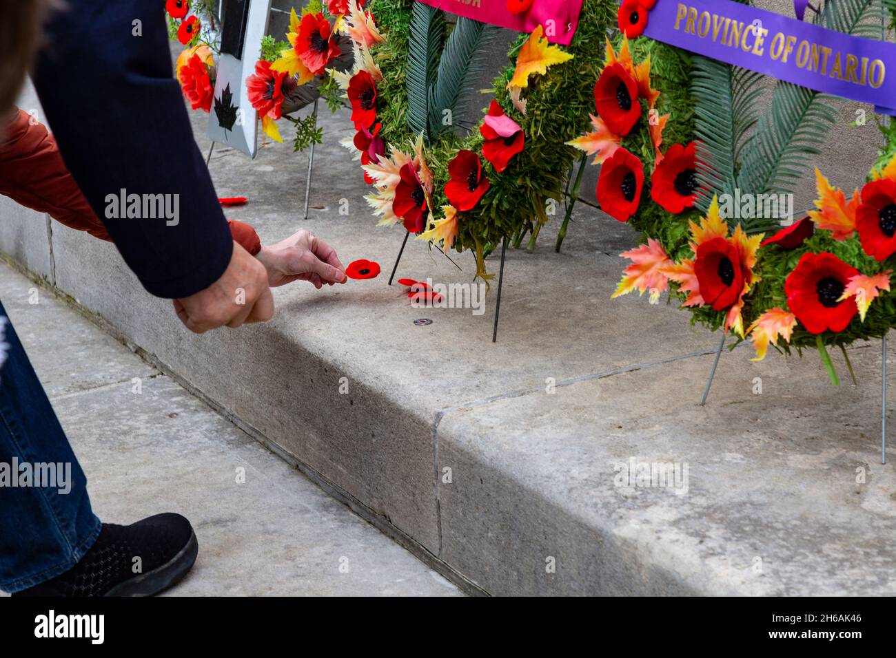 People place their poppies and pay their respects at the cenotaph ...