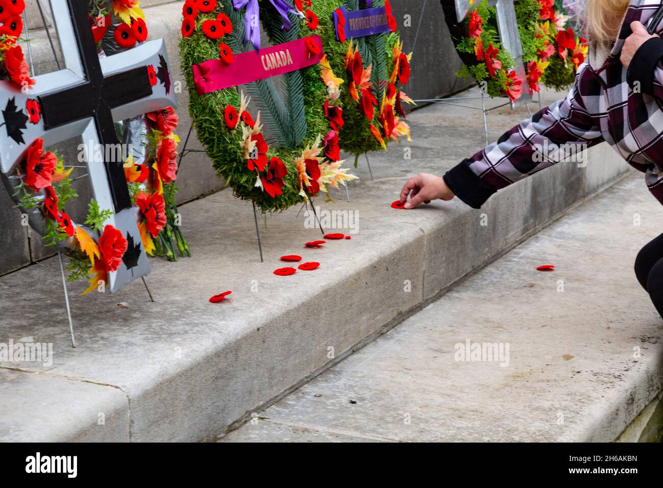 People place their poppies and pay their respects at the cenotaph ...