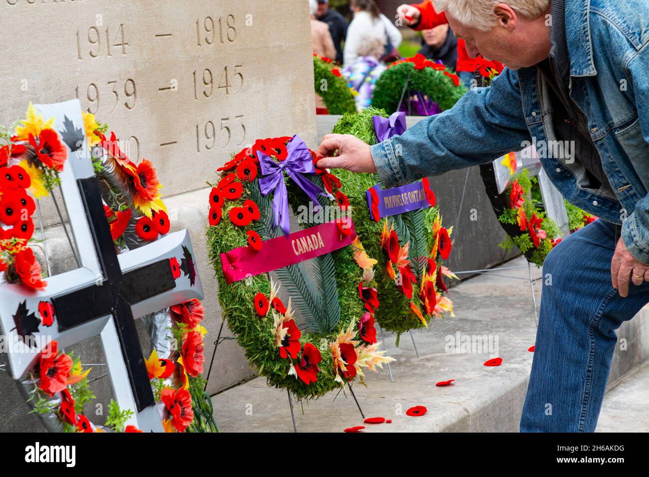 People place their poppies and pay their respects at the cenotaph ...