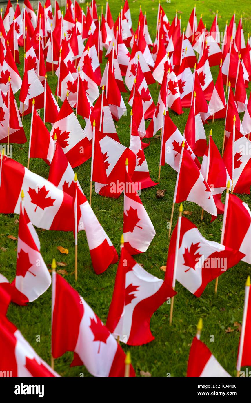 Hero 11 hi-res stock photography and images - Alamy