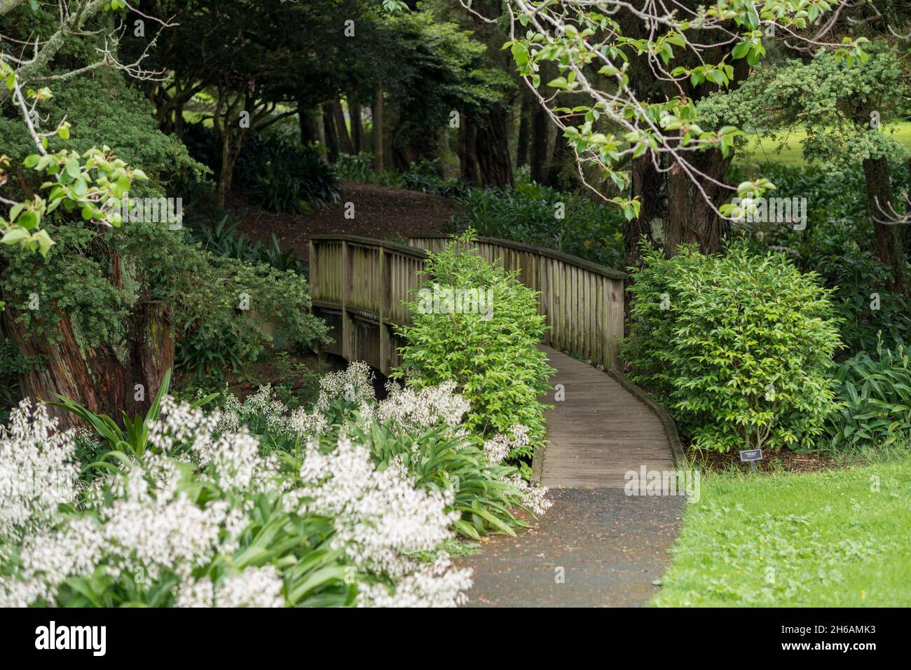 Auckland Botanic Gardens, located in Manurewa Stock Photo - Alamy