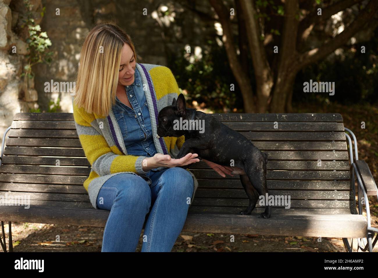 Portrait woman her bulldog sitting outdoors hi-res stock photography ...