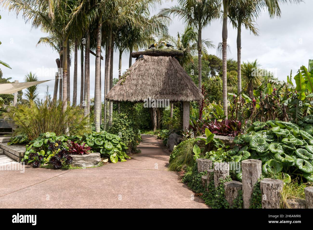 Auckland Botanic Gardens, located in Manurewa Stock Photo - Alamy