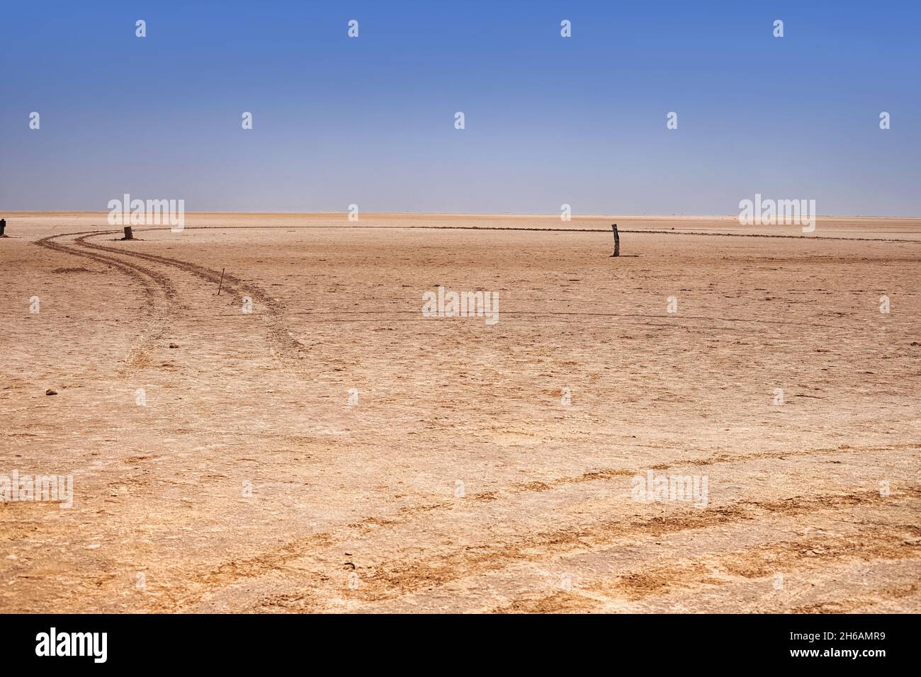 Shott el Jerid is a large salt lake of origin in the south of Tunisia ...
