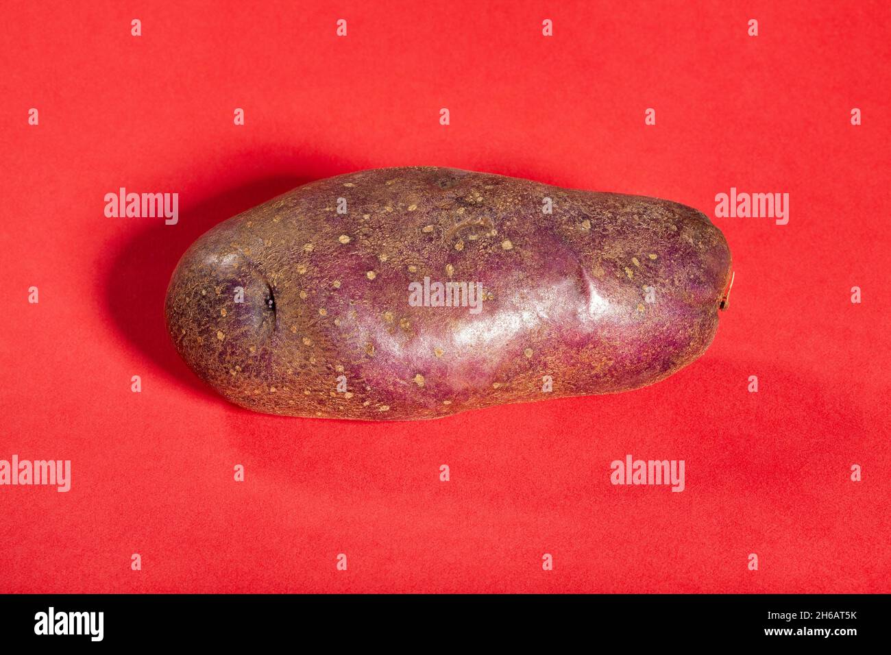 Single fresh potato hi-res stock photography and images - Alamy