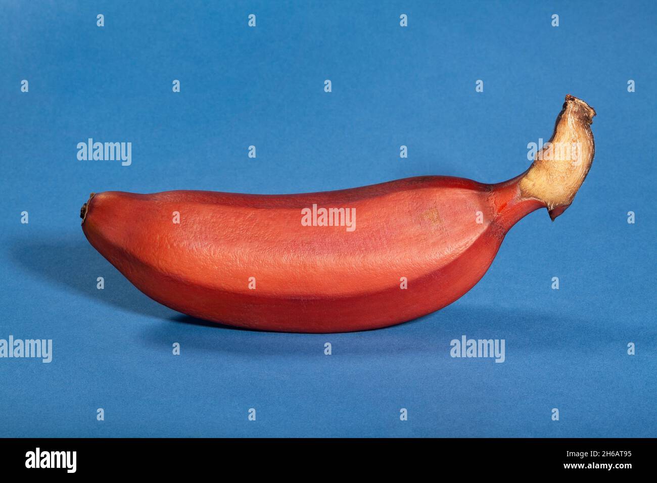 Red and blue background hi-res stock photography and images - Alamy