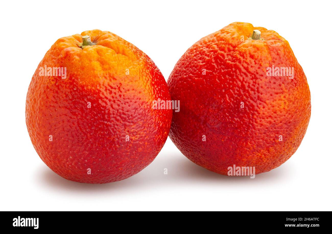 blood orange path isolated on white Stock Photo - Alamy