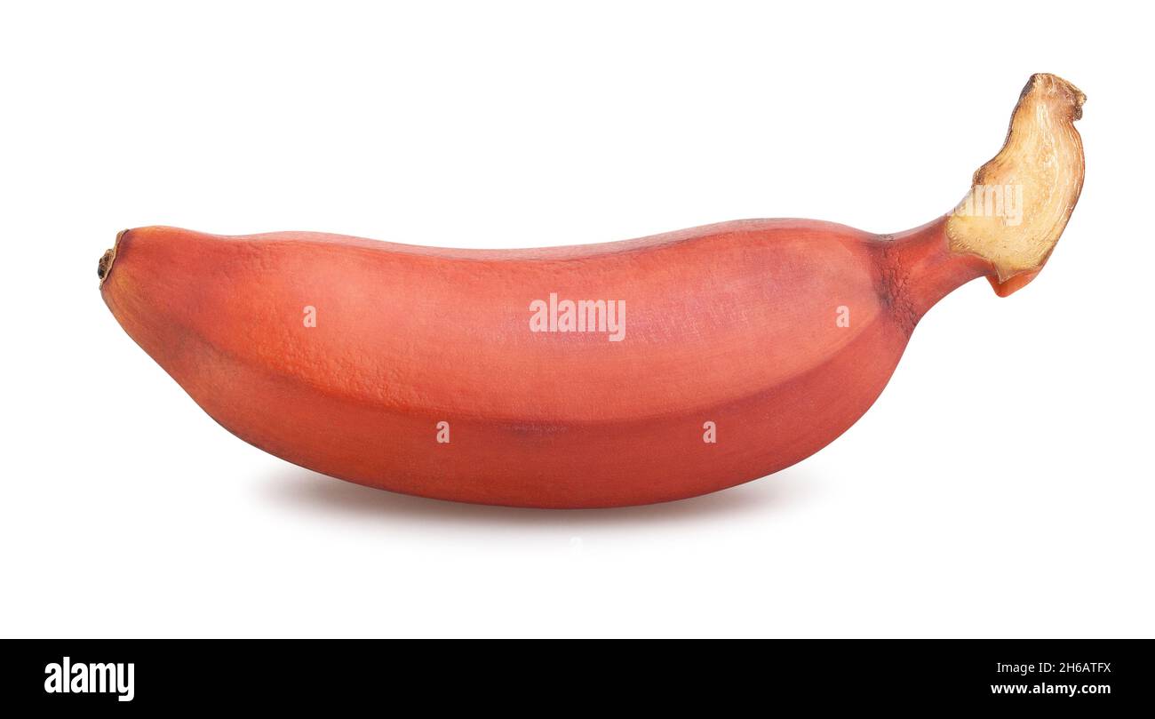 red banana path isolated on white Stock Photo - Alamy