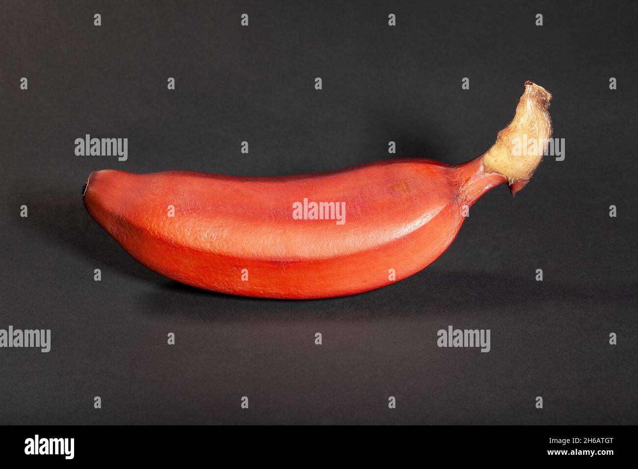Red banana hi-res stock photography and images - Alamy