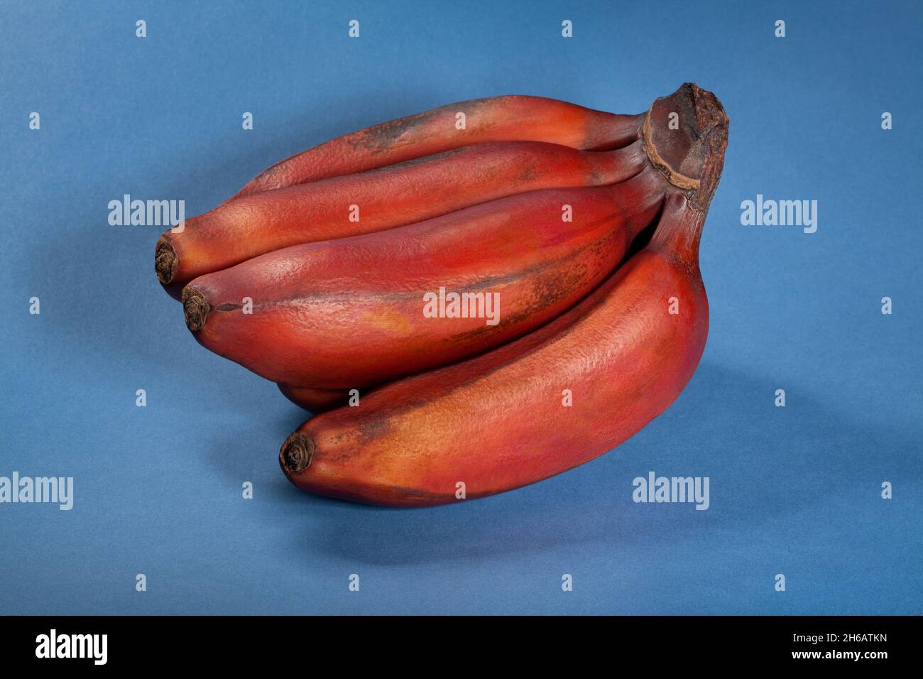 red banana on blue background Stock Photo - Alamy