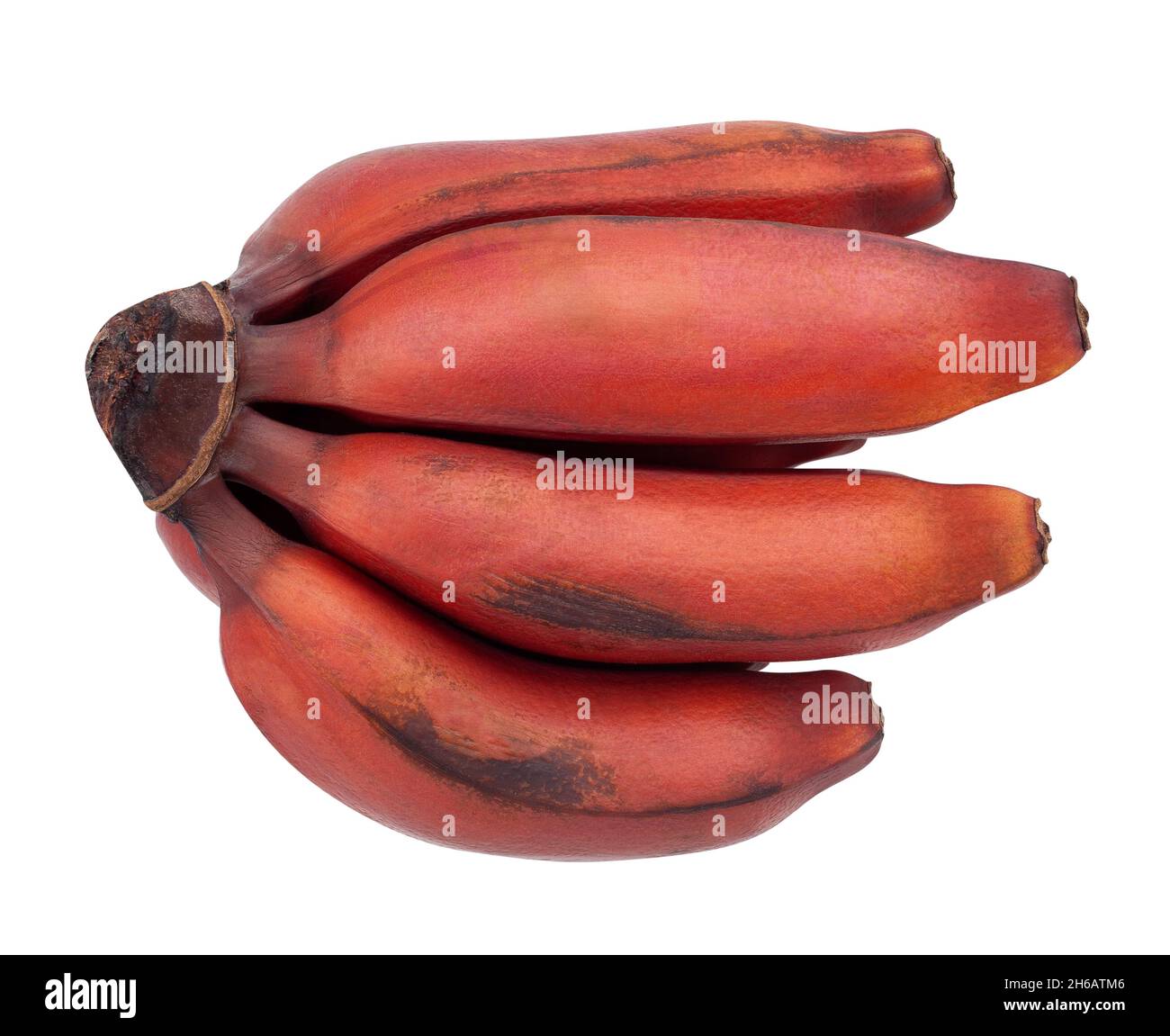 red banana path isolated on white top view Stock Photo - Alamy