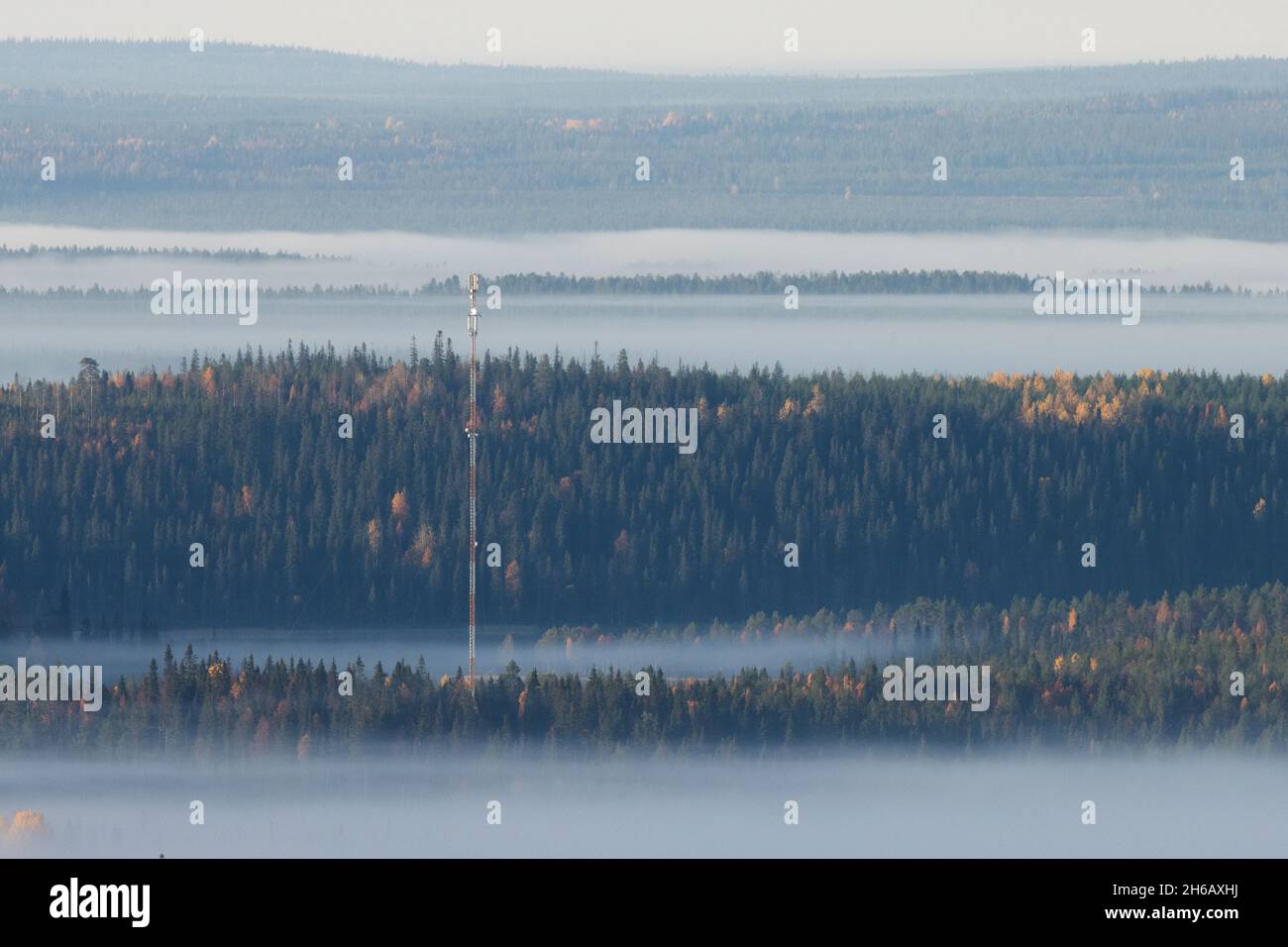 The nature of communication hi-res stock photography and images - Alamy