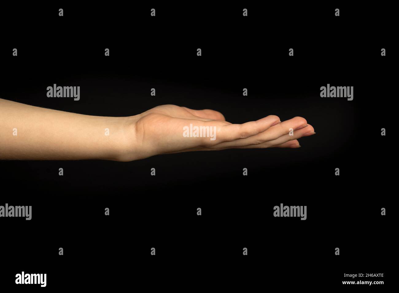 Empty hand gesture on black background. Woman hand with palm up Stock ...
