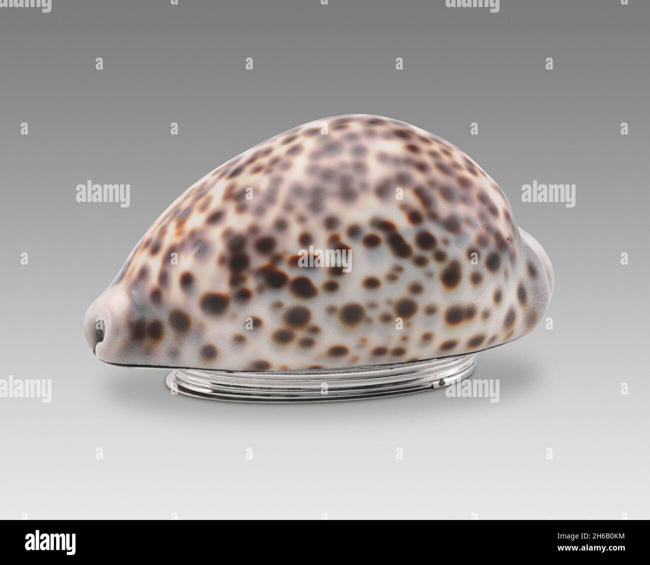Snuff Box, 1791/1814. Made from a shell Stock Photo - Alamy