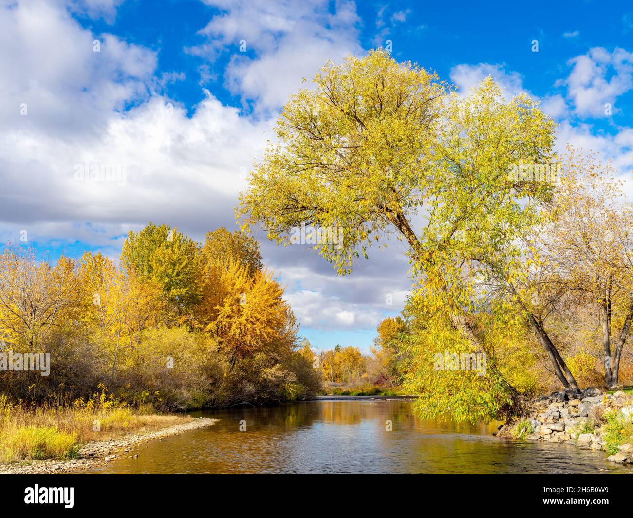 Eagle idaho hi-res stock photography and images - Alamy